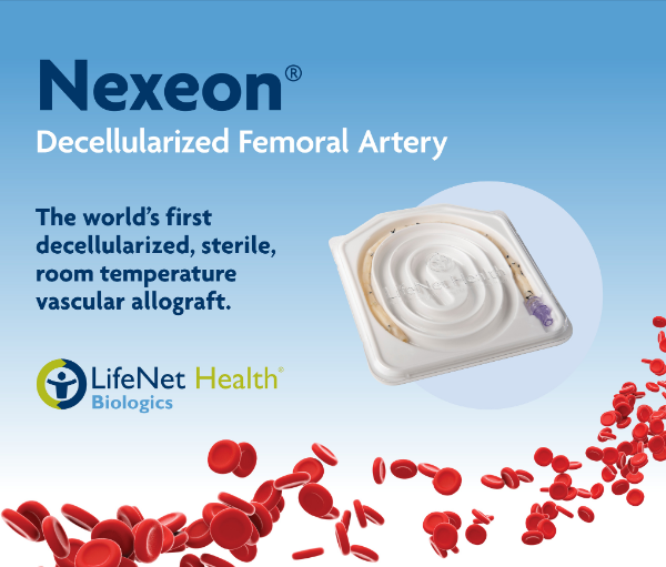 Nexeon® Decellularized Femoral Artery